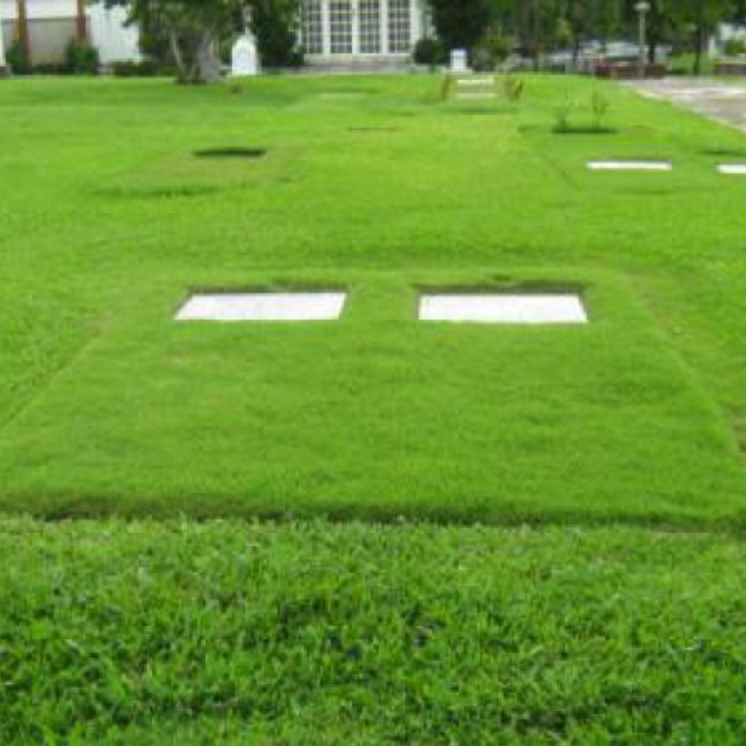 Lawn Lots – UPH Shrine
